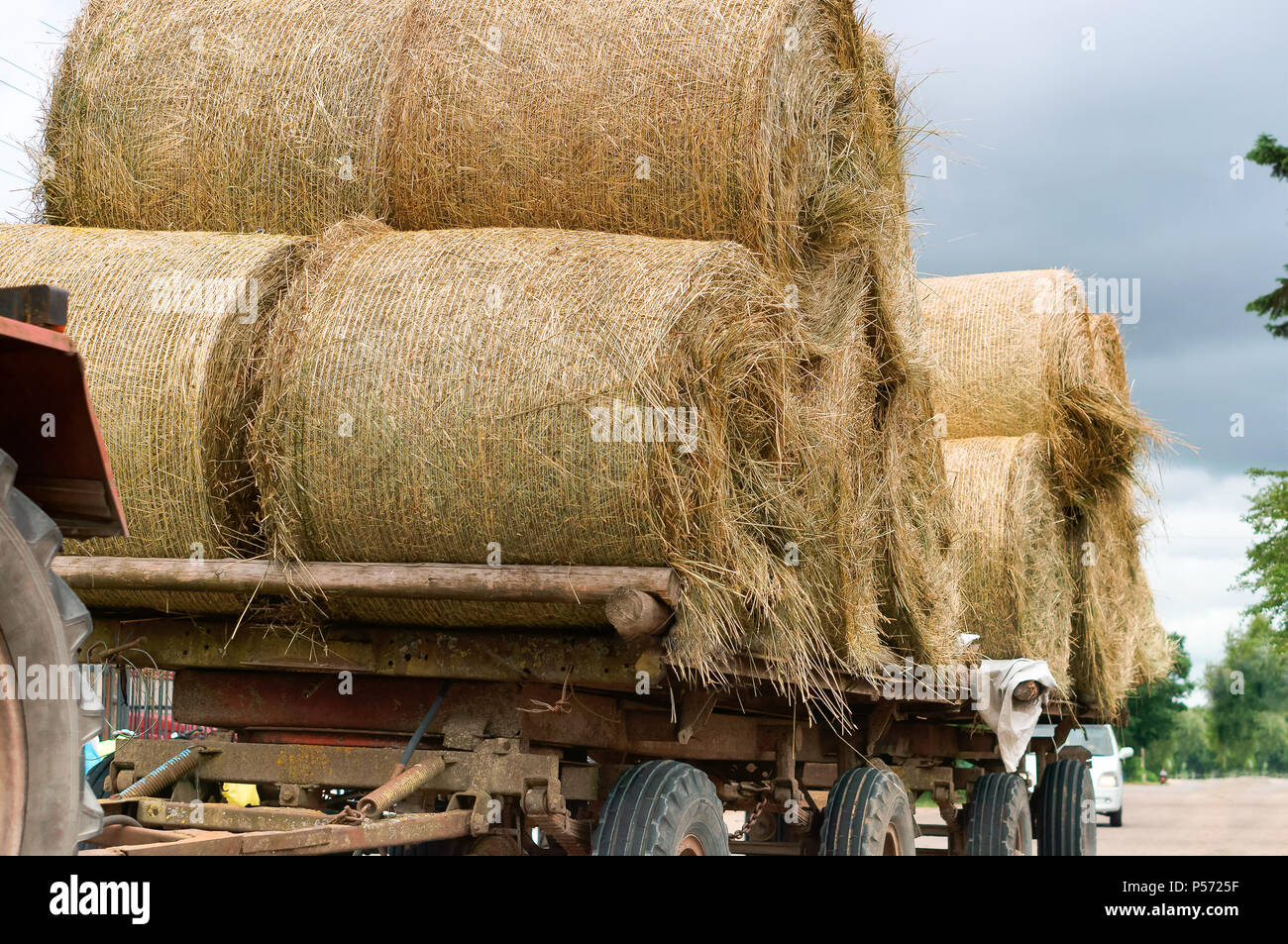 straw rolls in the trailer of the agricultural machine, the tractor ...