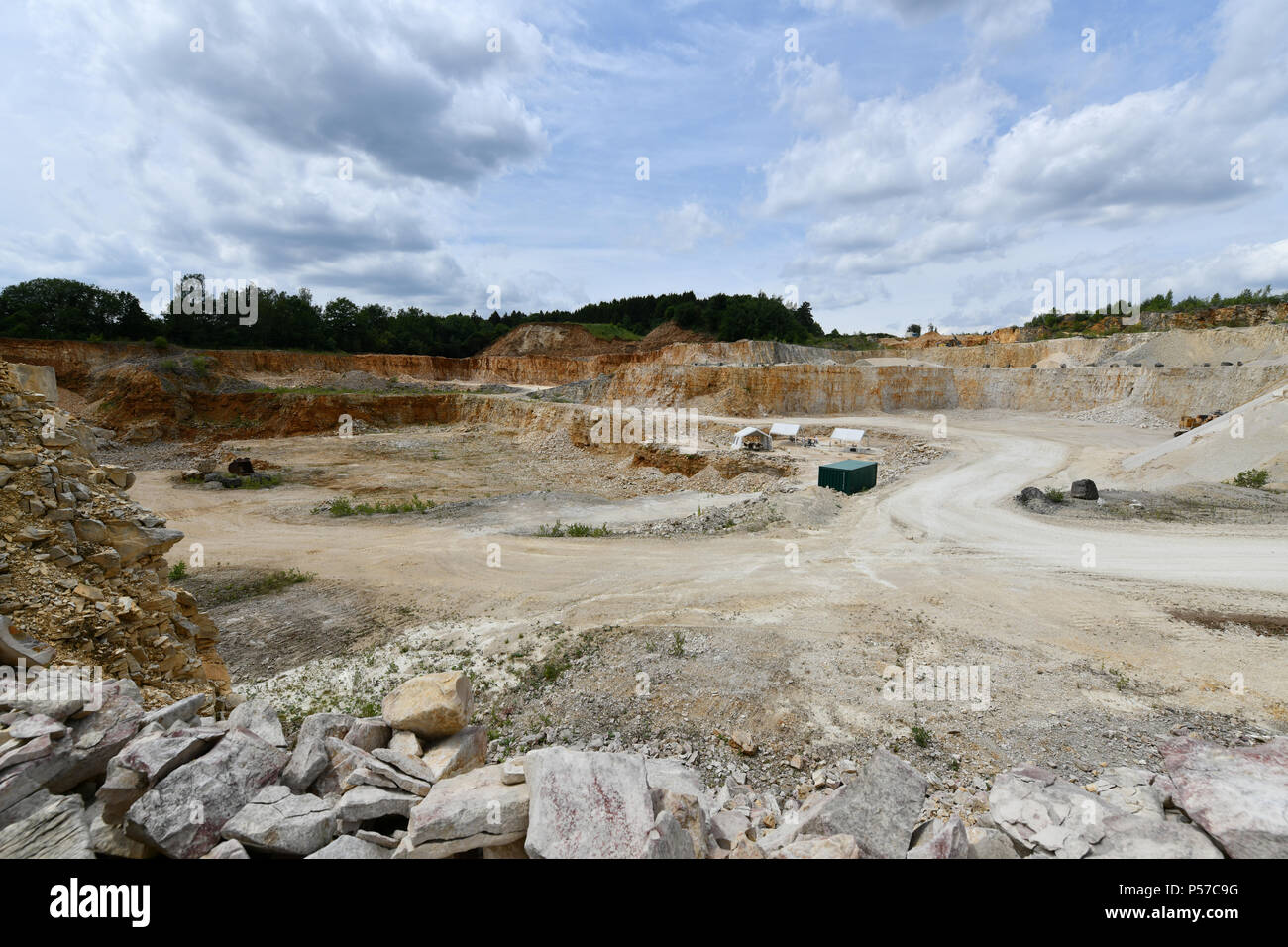 Gyrodus hi-res stock photography and images - Alamy