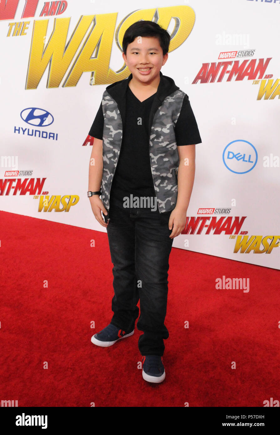 Los Angeles, California, USA . 25th June, 2018. Actor Albert Tsai ...