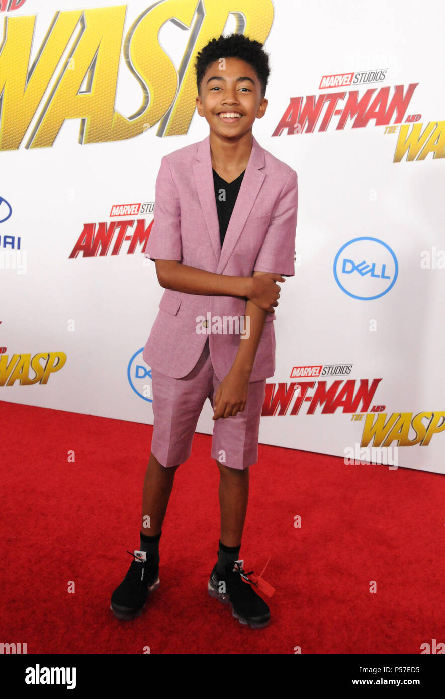Los Angeles, California, USA . 25th June, 2018. Actor Miles Brown ...