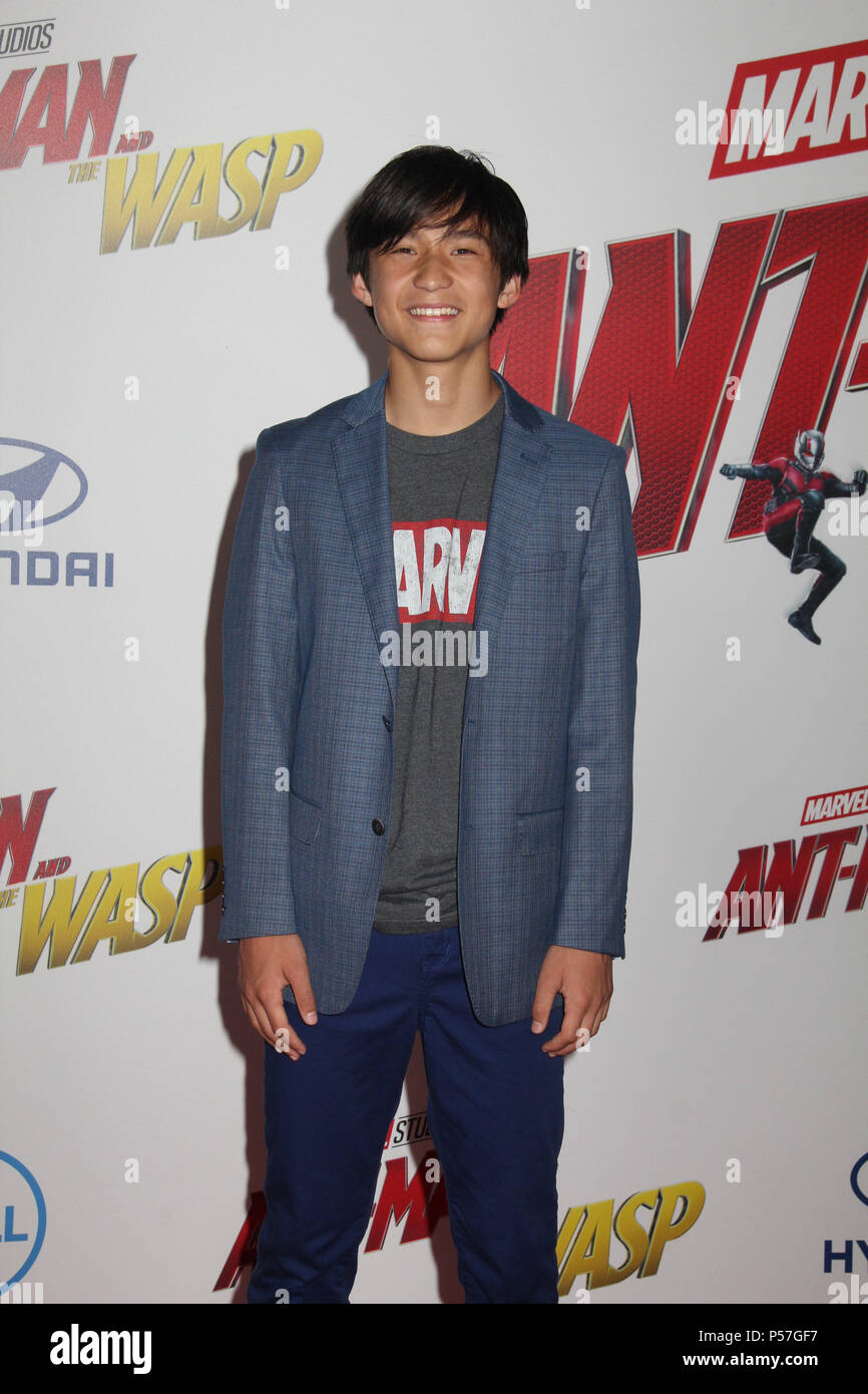 Forrest wheeler hi-res stock photography and images - Alamy