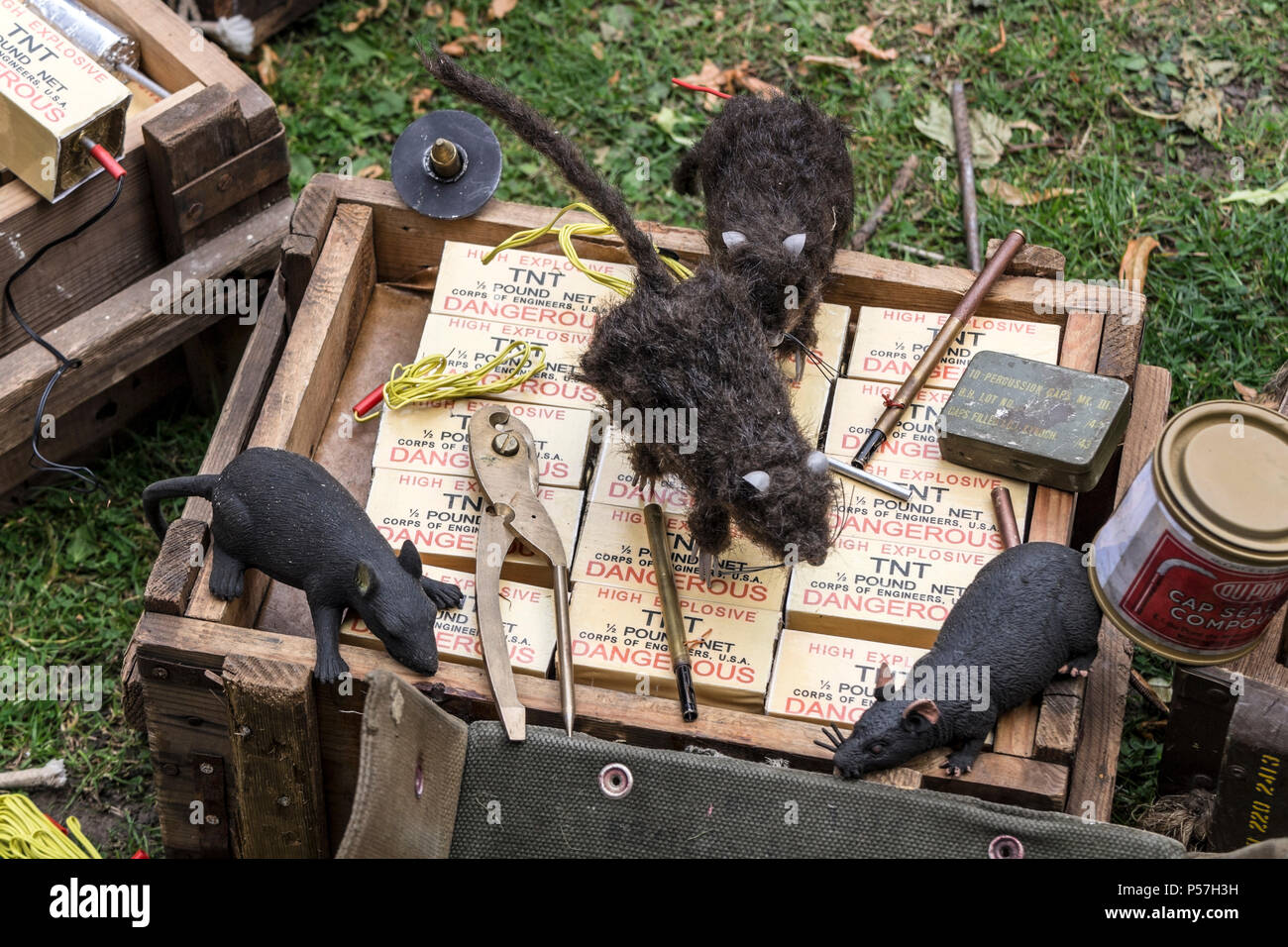 A Box of TNT with Rat Bombs on Top. Rat Bombs Were Developed by the ...