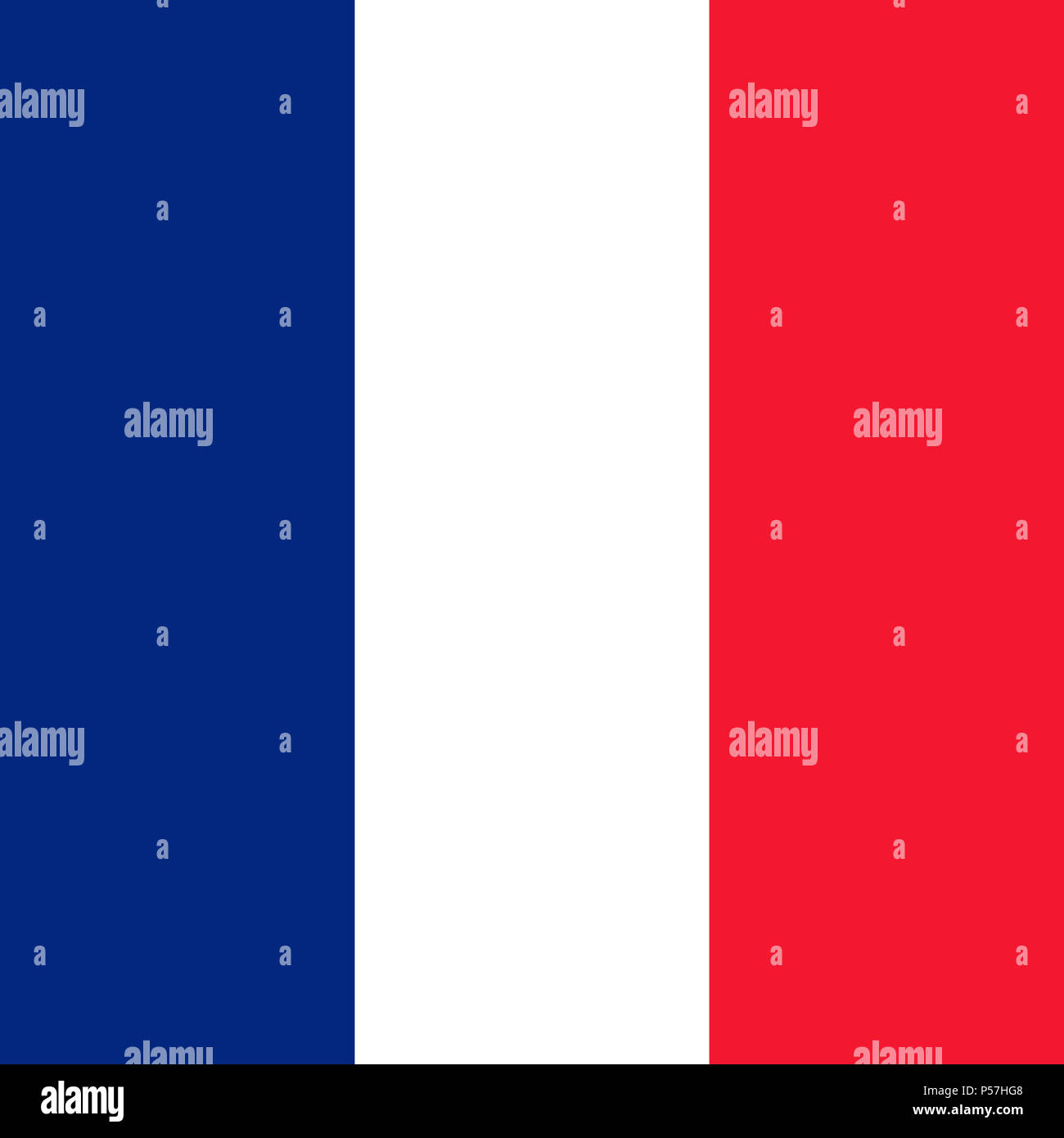 Official national flag of Saint Barthélemy Stock Photo - Alamy