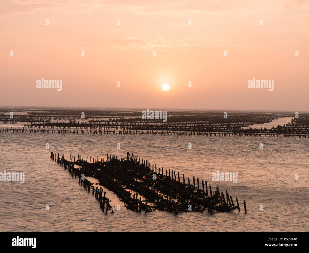 beauty of Taiwan Stock Photo - Alamy