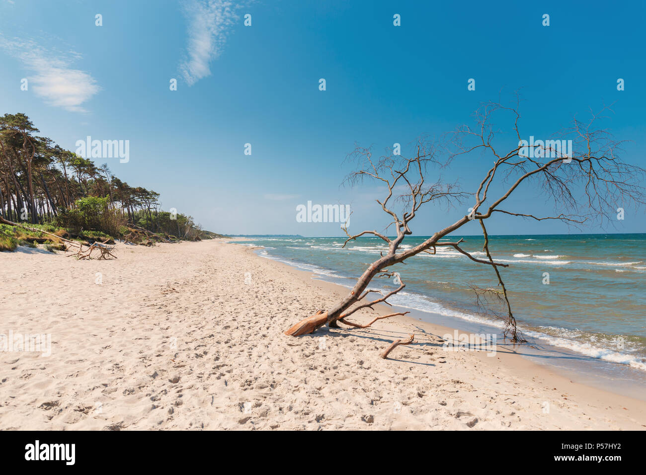 Weststrand prerow hi-res stock photography and images - Alamy