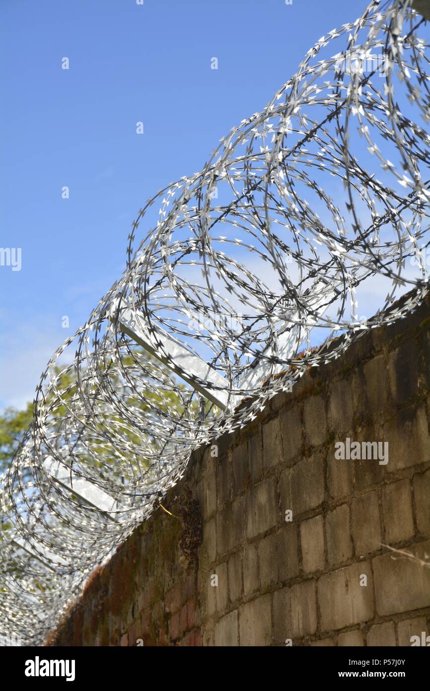 Barbed wire on a fence Stock Photo - Alamy