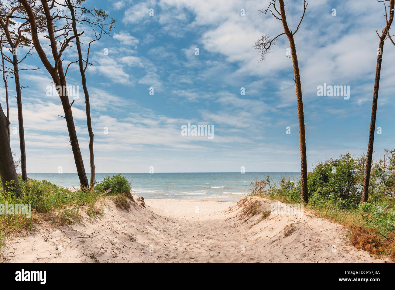 Beach on the Baltic Sea with a view of the sea with blue sky Stock ...