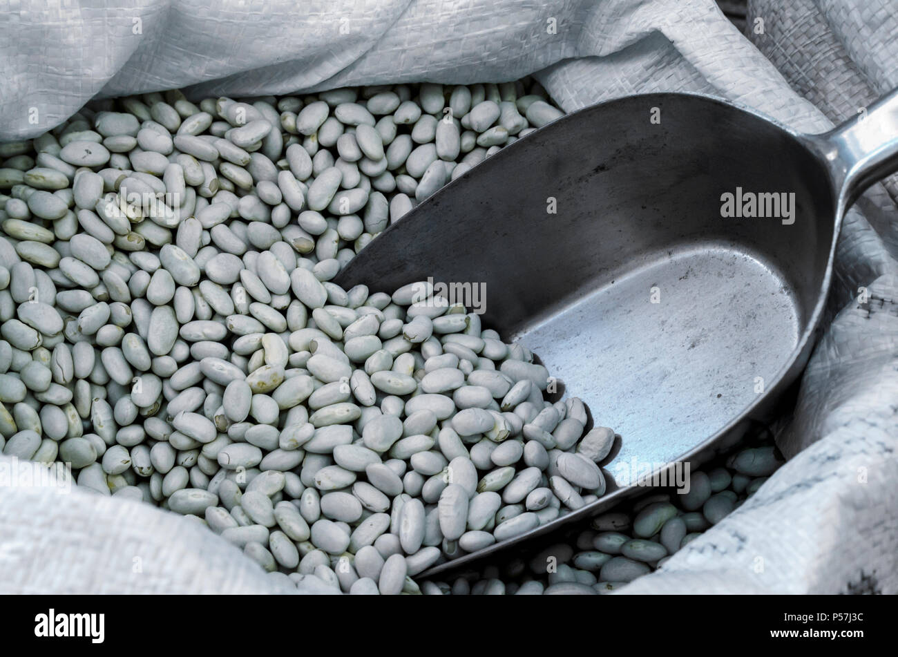 Pile of dried white beans in a bag. Natural light, close-up shot Stock ...