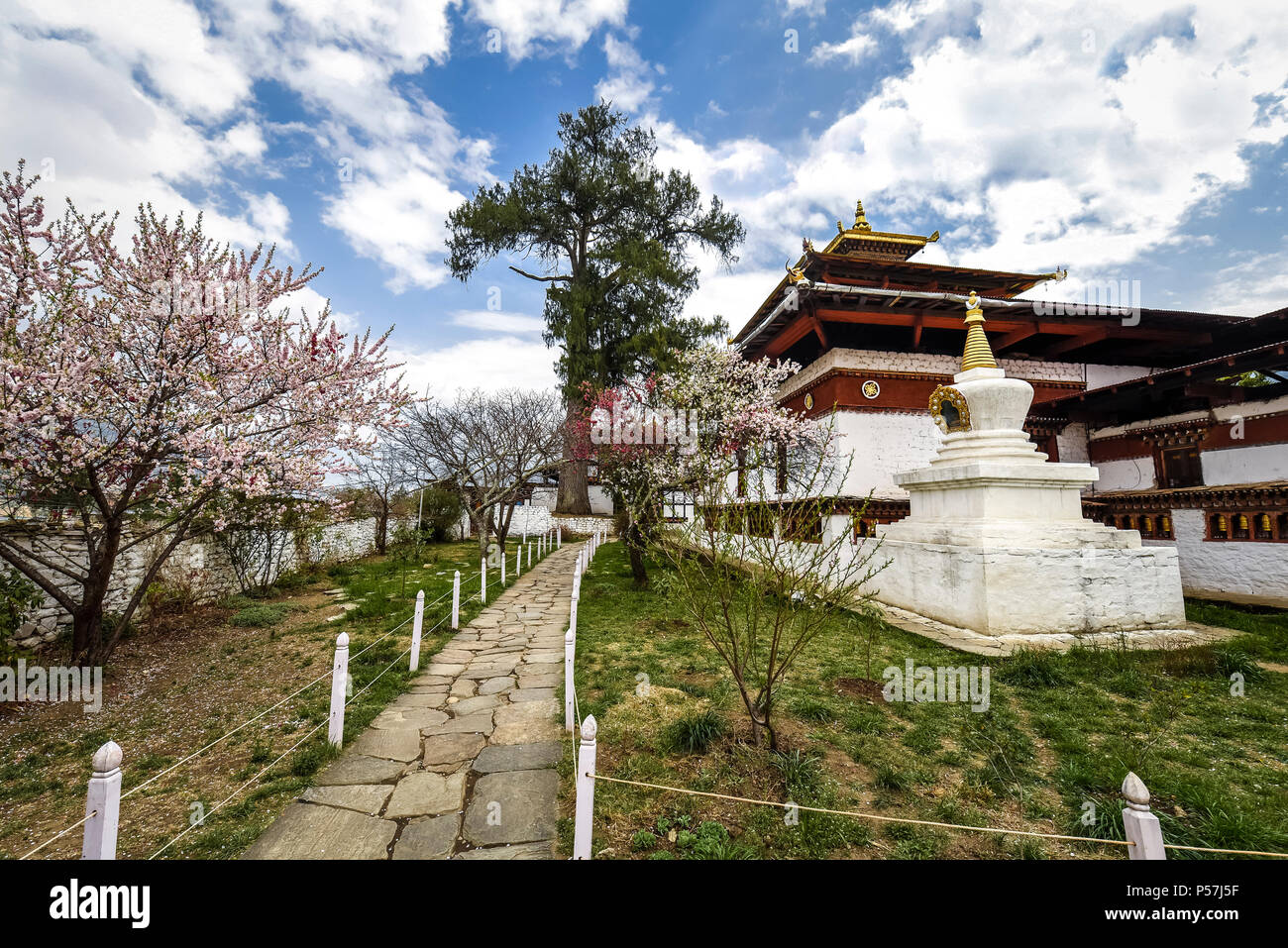 Buddhist temple Kyichu Lhakhang in spring, Paro, Paro district ...