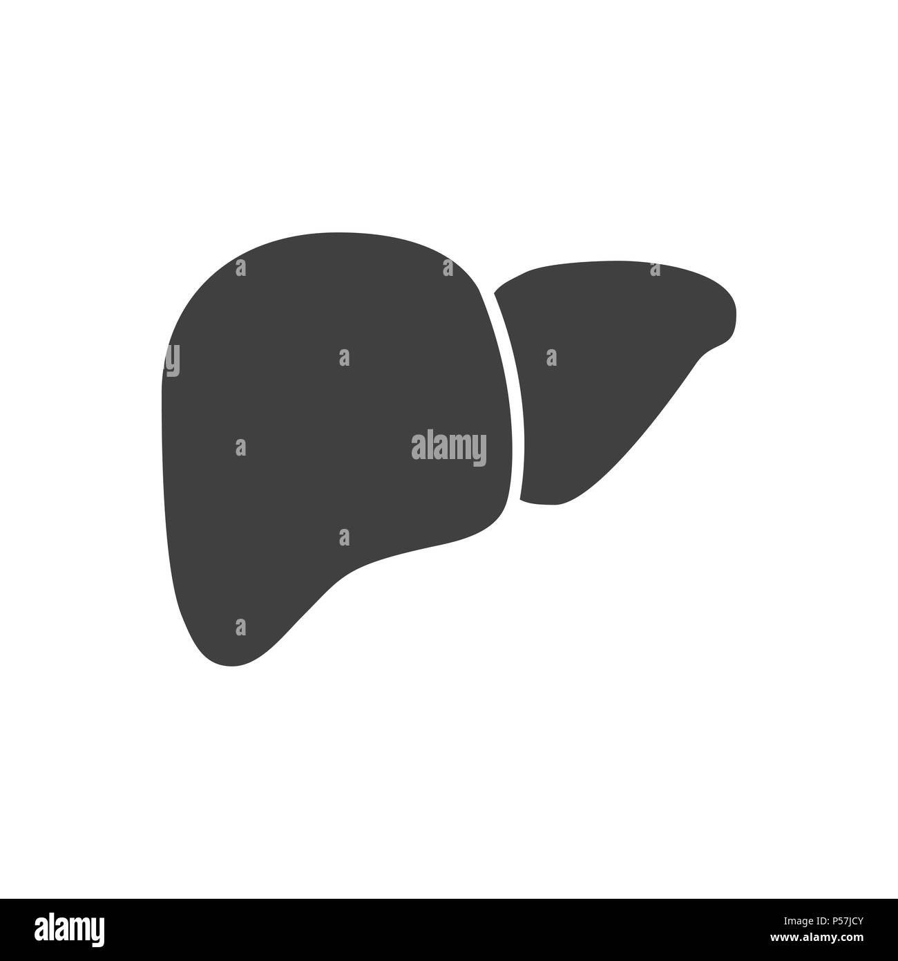 Liver Glyph Vector Icon. Isolated on the White Background. Editable EPS ...