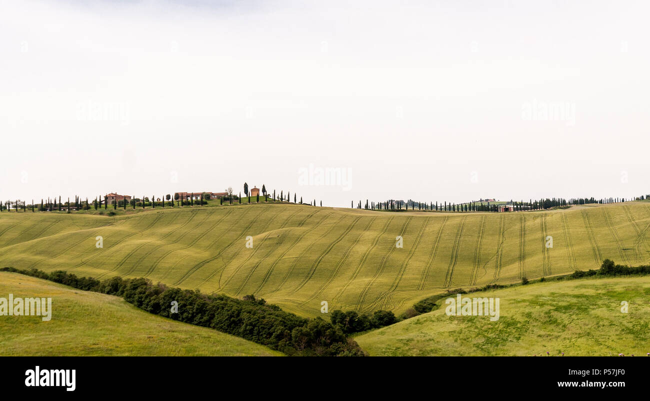 Wheat field italy hi-res stock photography and images - Alamy