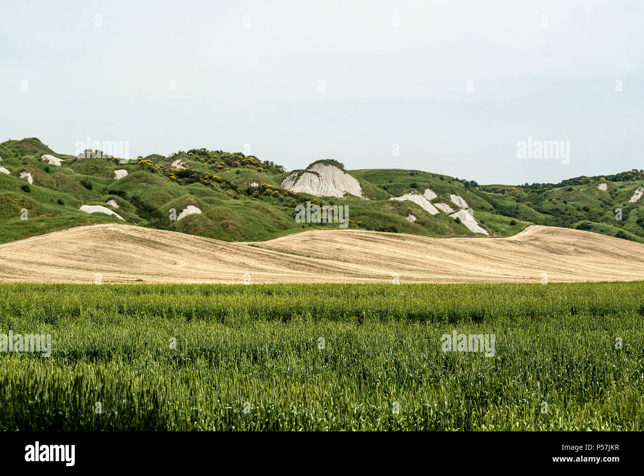 The Accona desert,Crete senesi,Tuscany,Italy.2018 Stock Photo - Alamy