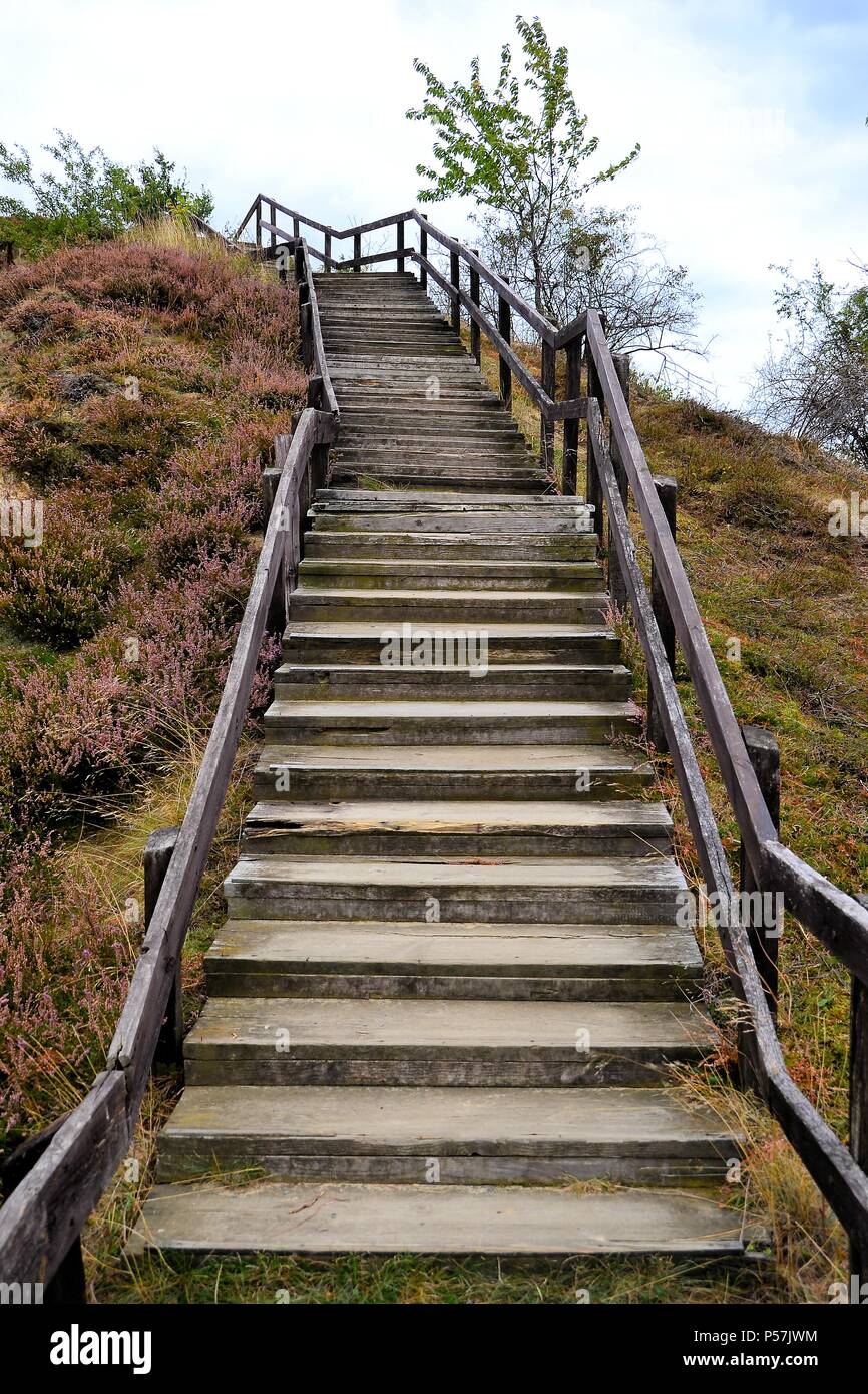Stairs at the Devil's Wall in the Harz National Park Stock Photo - Alamy