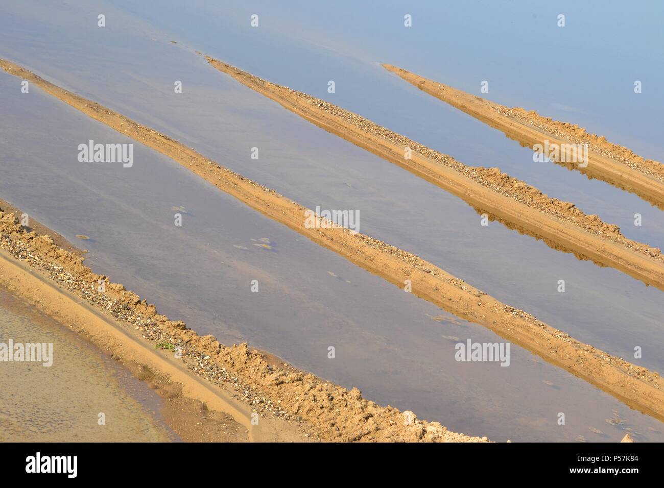 Barleben hi-res stock photography and images - Alamy