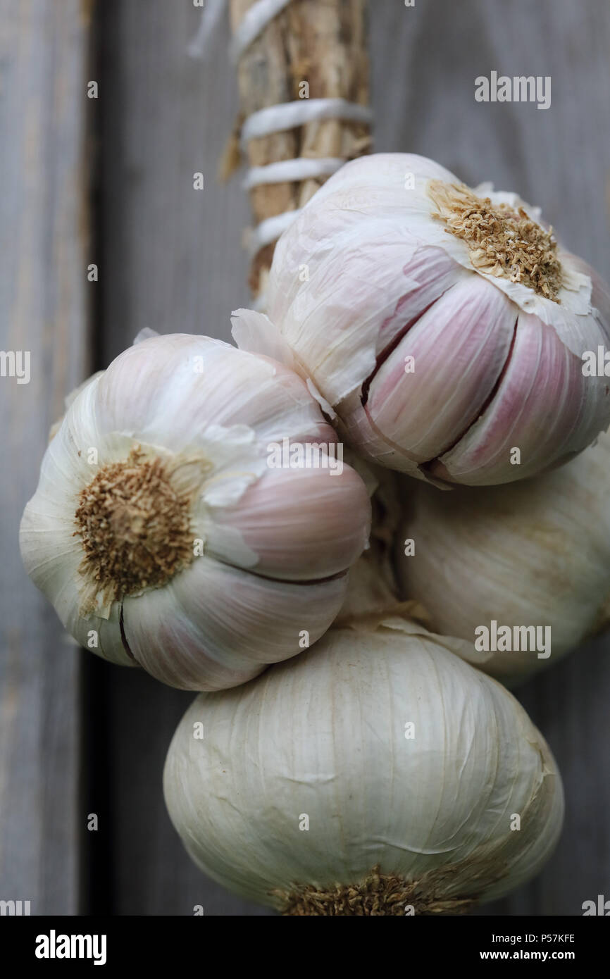 Charm against evil spirits hi-res stock photography and images - Alamy