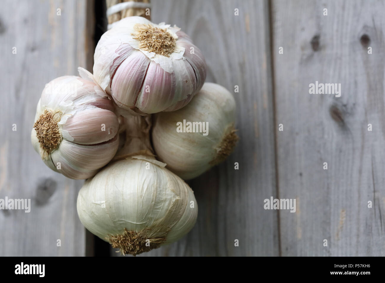 String of garlic bulbs hi-res stock photography and images - Alamy