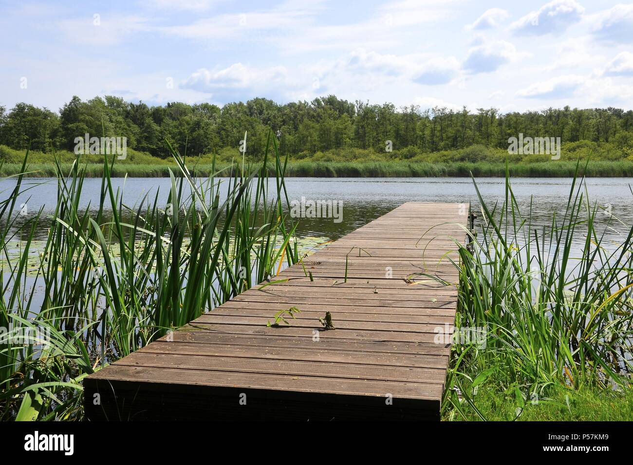 Recreational Plot High Resolution Stock Photography and Images - Alamy