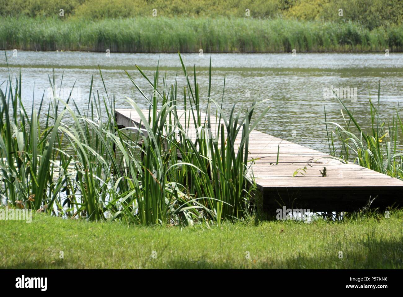 Idyll by the lake hi-res stock photography and images - Alamy