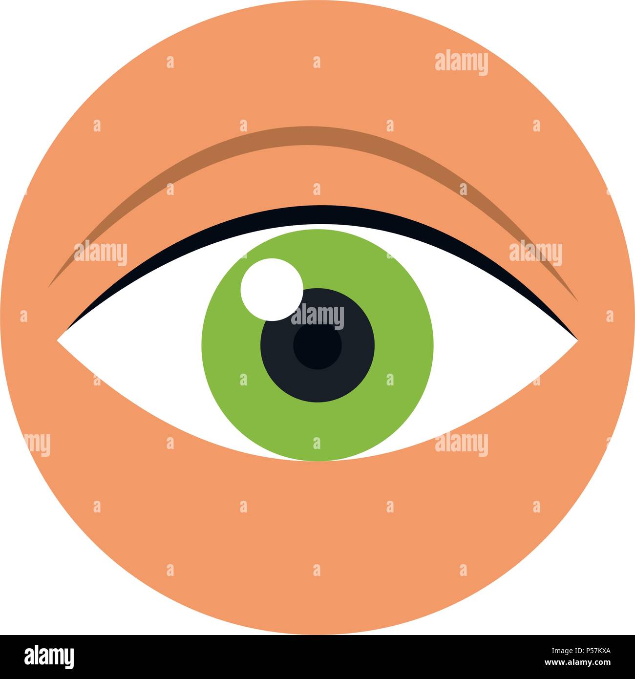 Eyelash detail Stock Vector Images - Alamy