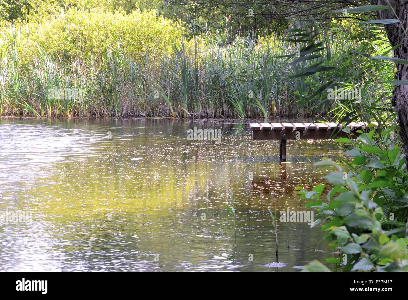 Idyll by the lake hi-res stock photography and images - Alamy