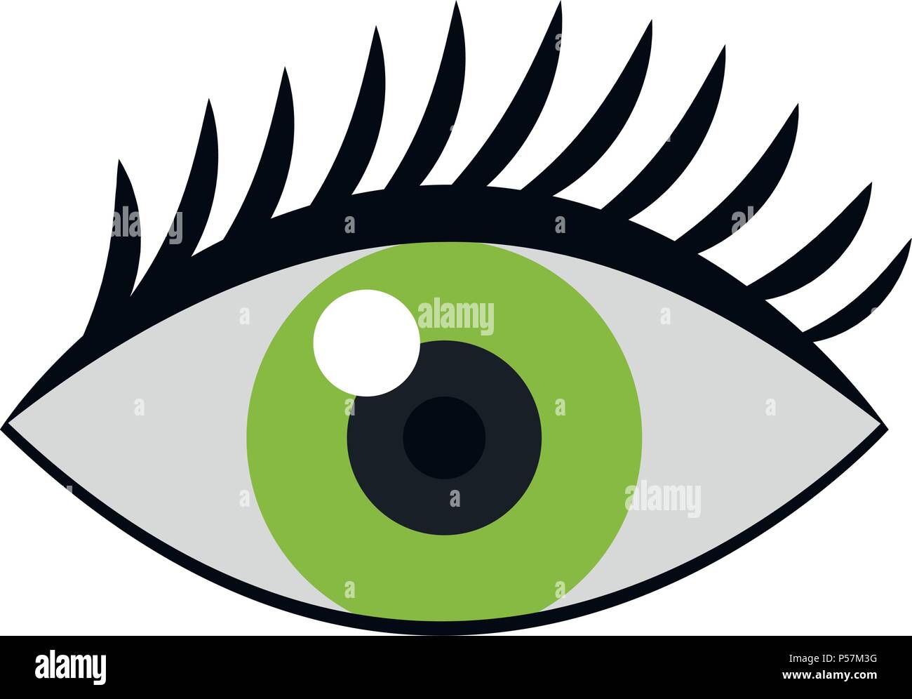 Human eye detail Stock Vector Images - Alamy