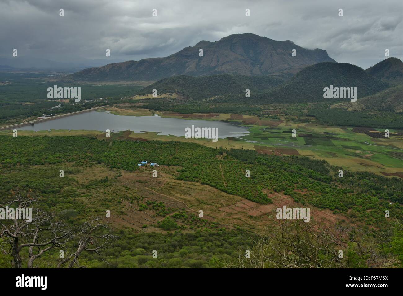 Kodaikanal monsoon hi-res stock photography and images - Alamy