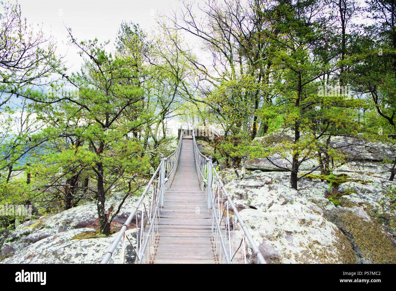 Nature - USA - TN - GA - Smoky Mountains & Rock City (Lookout Mountain ...