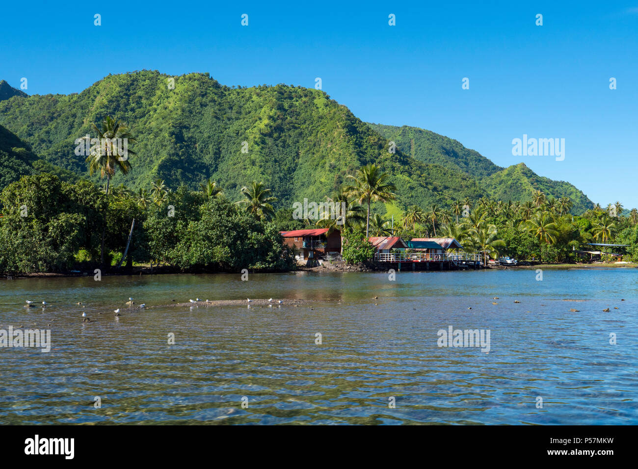 Teahupoo tahiti hi-res stock photography and images - Alamy