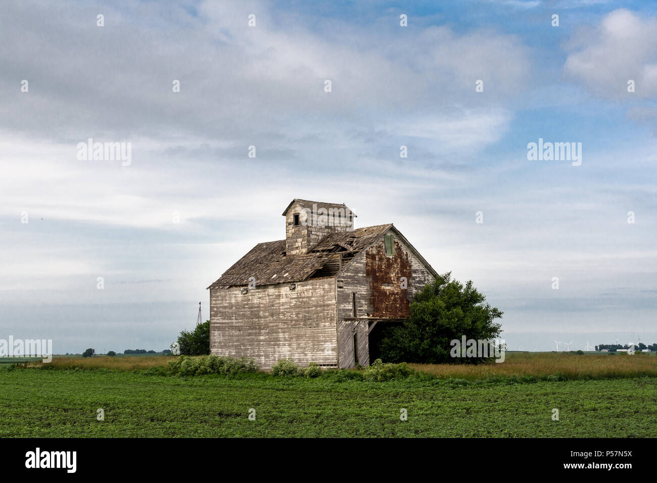 Overgrown Barn High Resolution Stock Photography and Images - Alamy