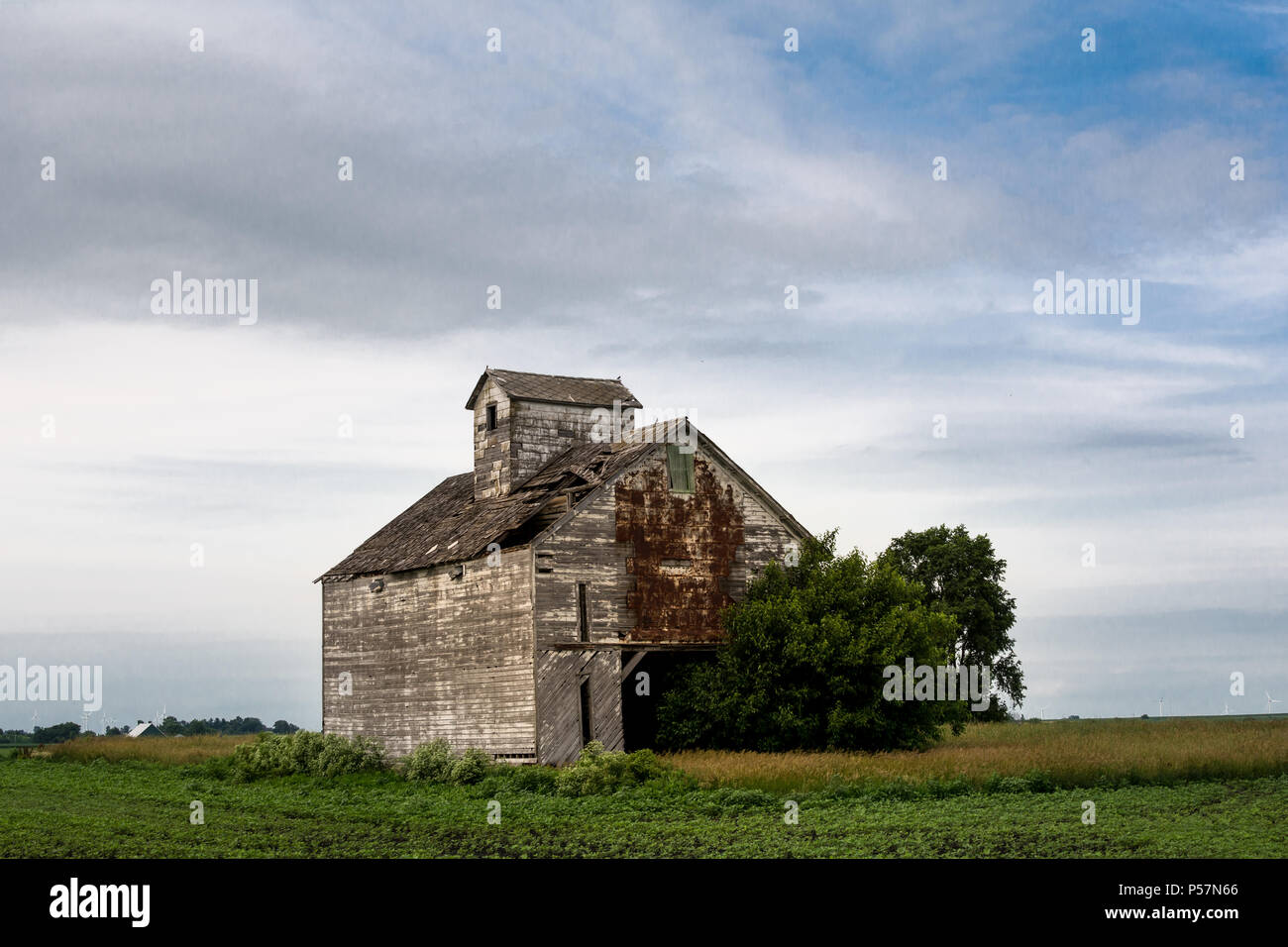 Dilapidated and overgrown barn nearing sunset in rural Illinois Stock ...