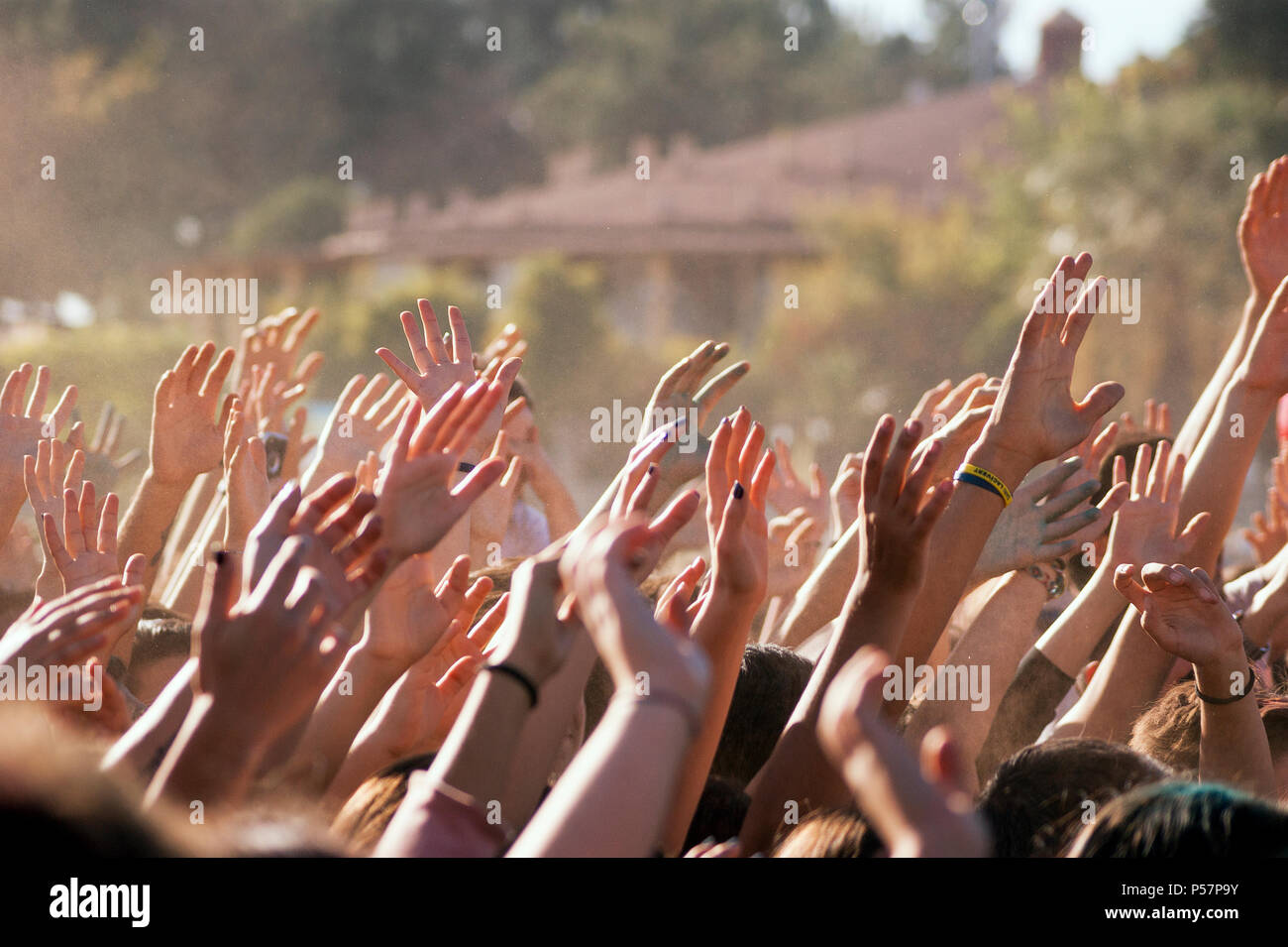 Crowd Of People With Hands Up