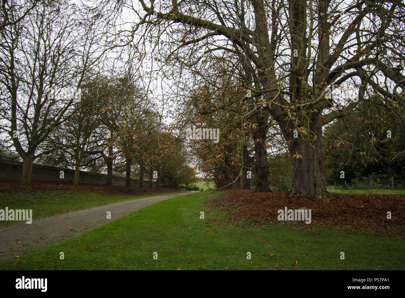 Stately mansion vector hi-res stock photography and images - Alamy