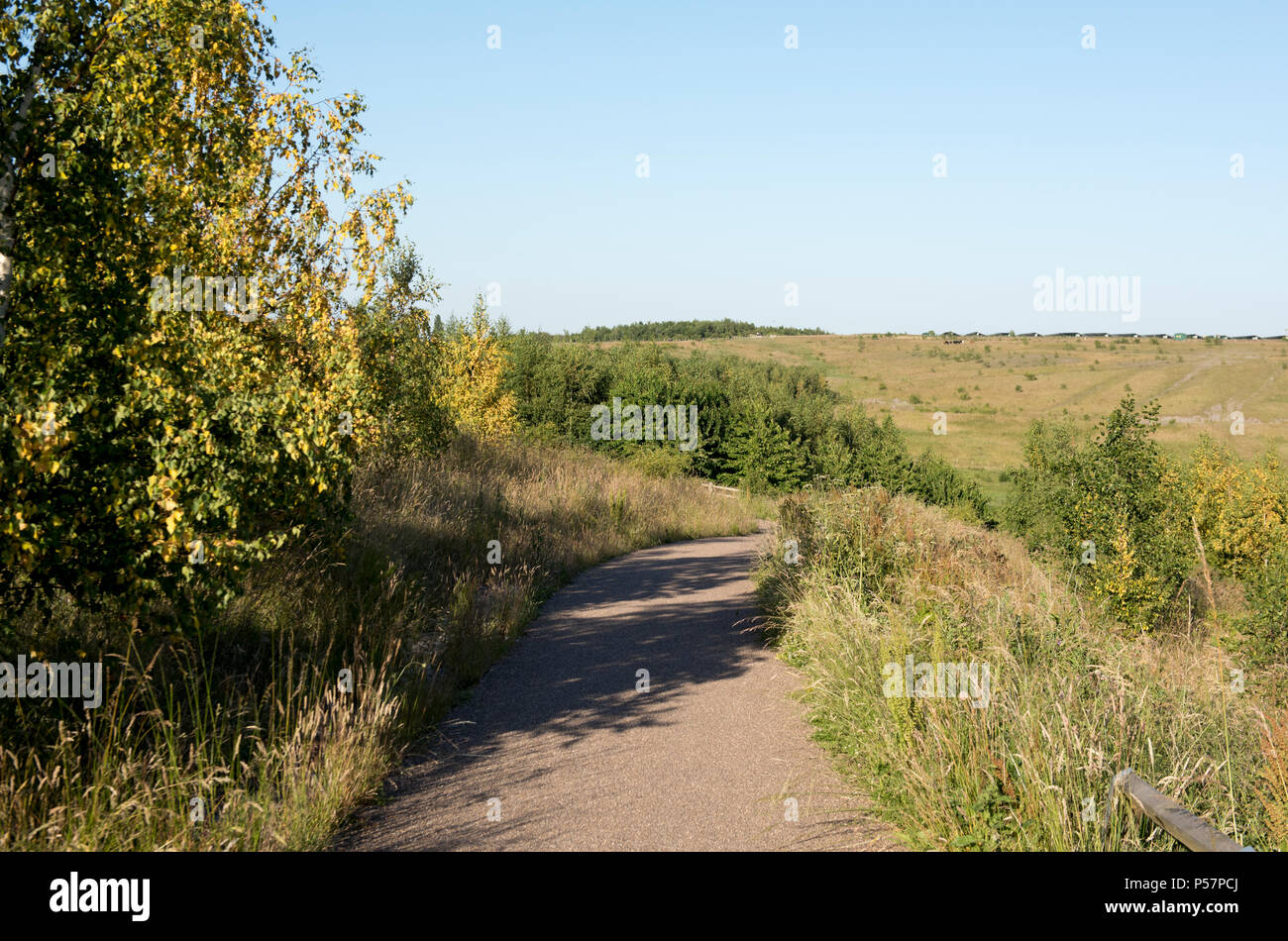 Dusk at Gedling Country Park, Nottinghamshire England UK Stock Photo ...