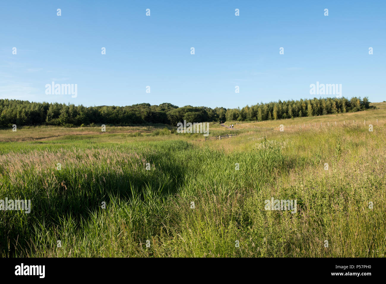 Gedling hi-res stock photography and images - Alamy