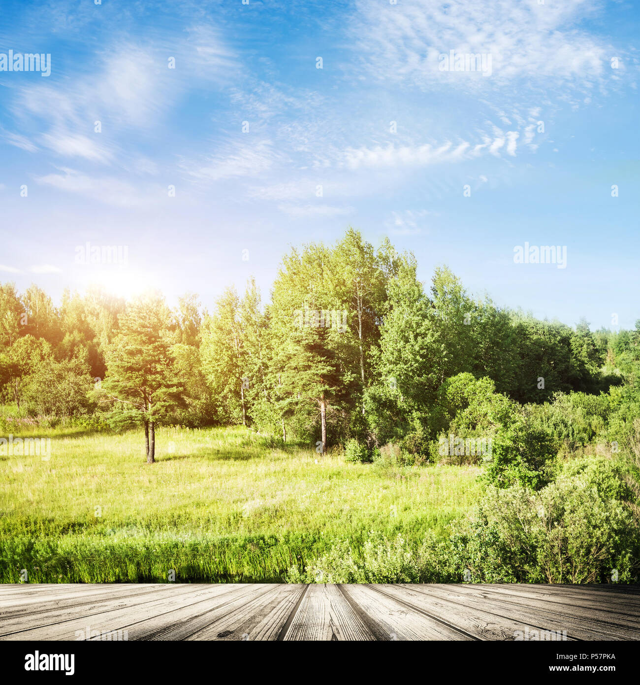 Autumn forest evening Stock Photo - Alamy