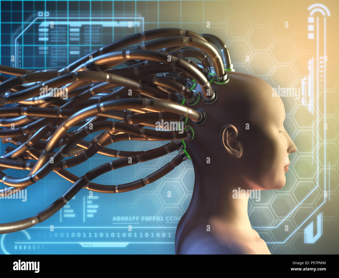 Human head and wire frame hi-res stock photography and images - Alamy