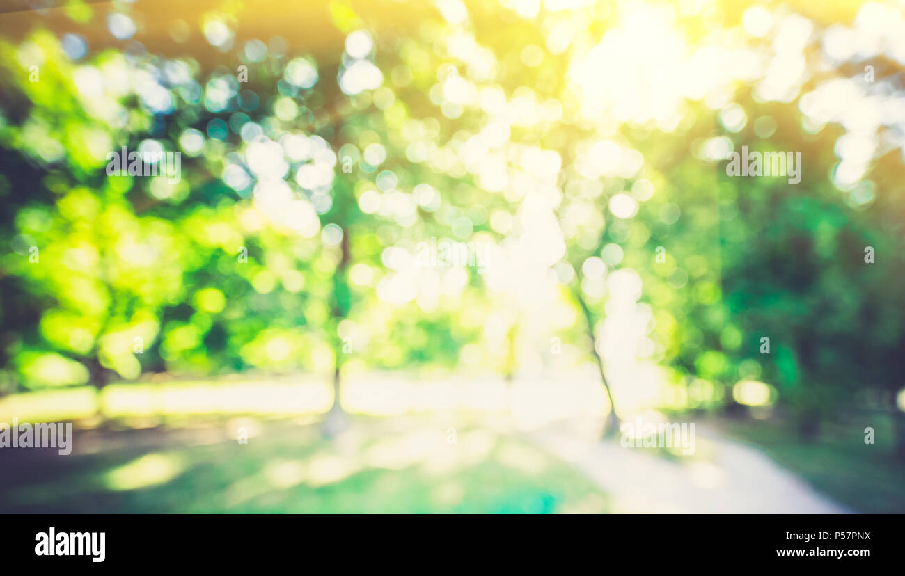 Green nature outdoor Stock Photo - Alamy