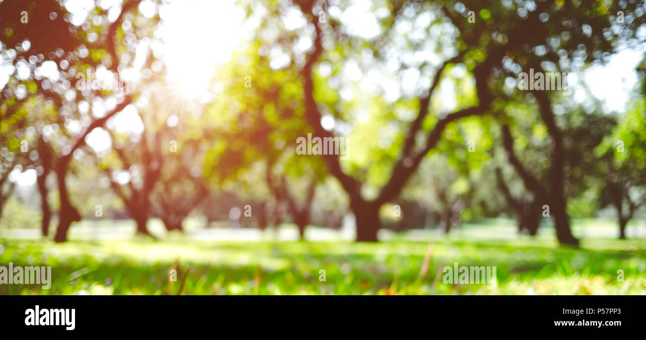Park outdoor landscape Stock Photo - Alamy