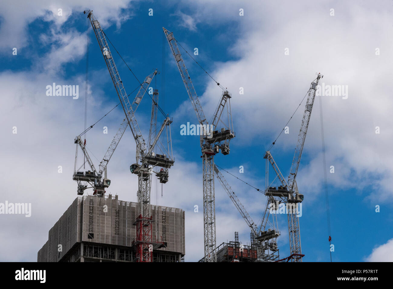 a large number of cranes operating in close proximity to each other on ...