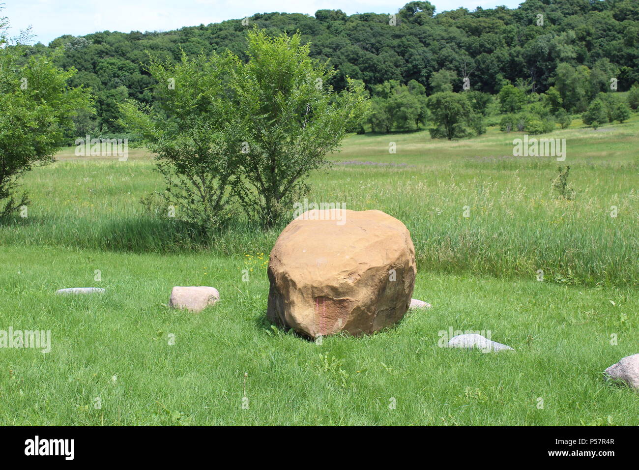 Grass Tree Landscape Background Outdoors Stock Photo - Alamy