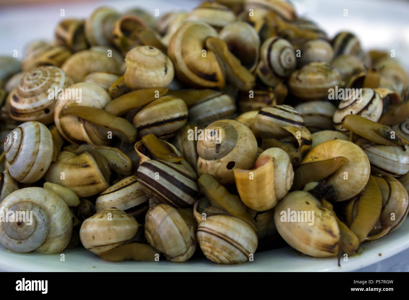 Cooked snails hi-res stock photography and images - Alamy