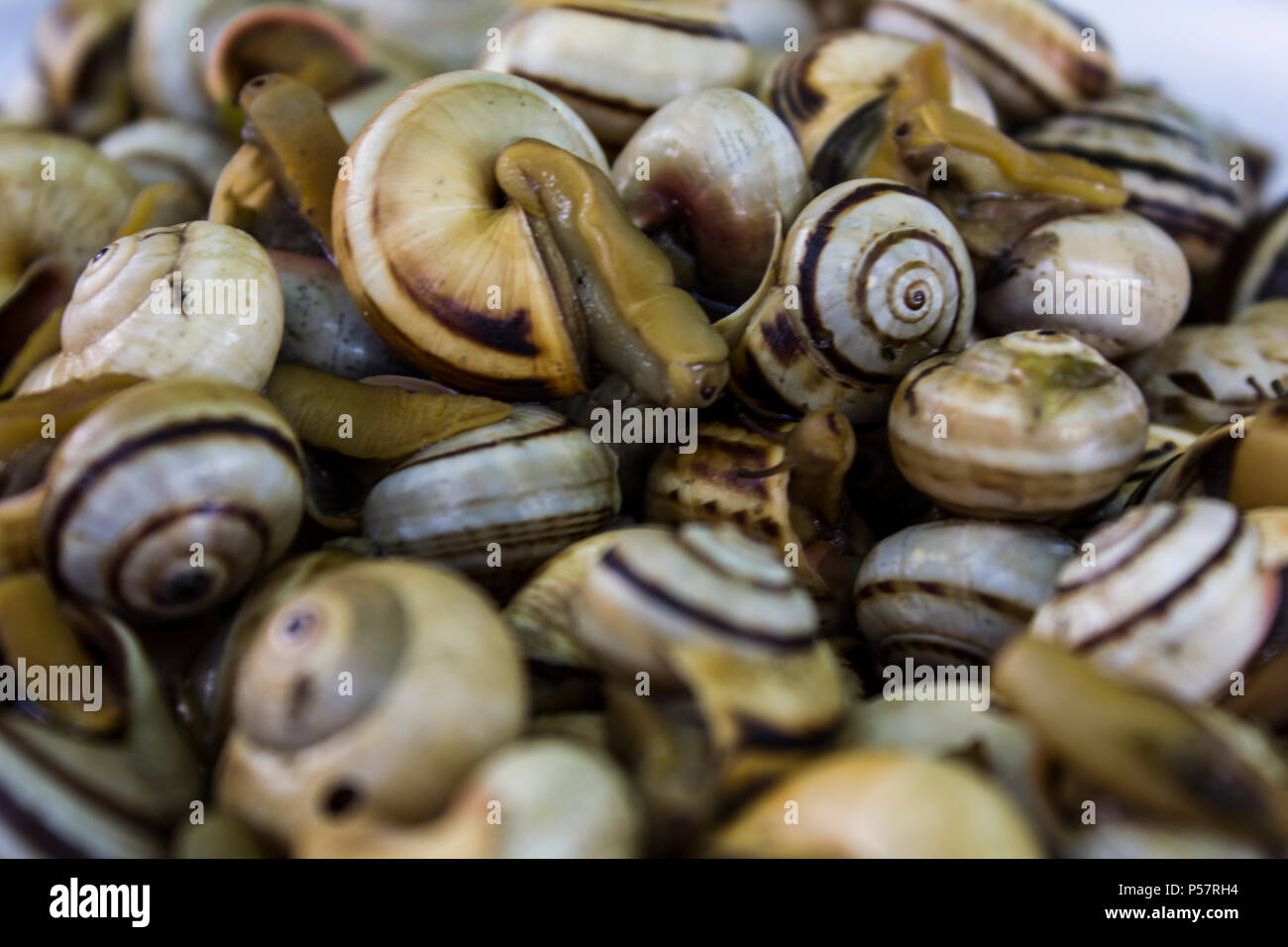 Cooked snails hi-res stock photography and images - Alamy