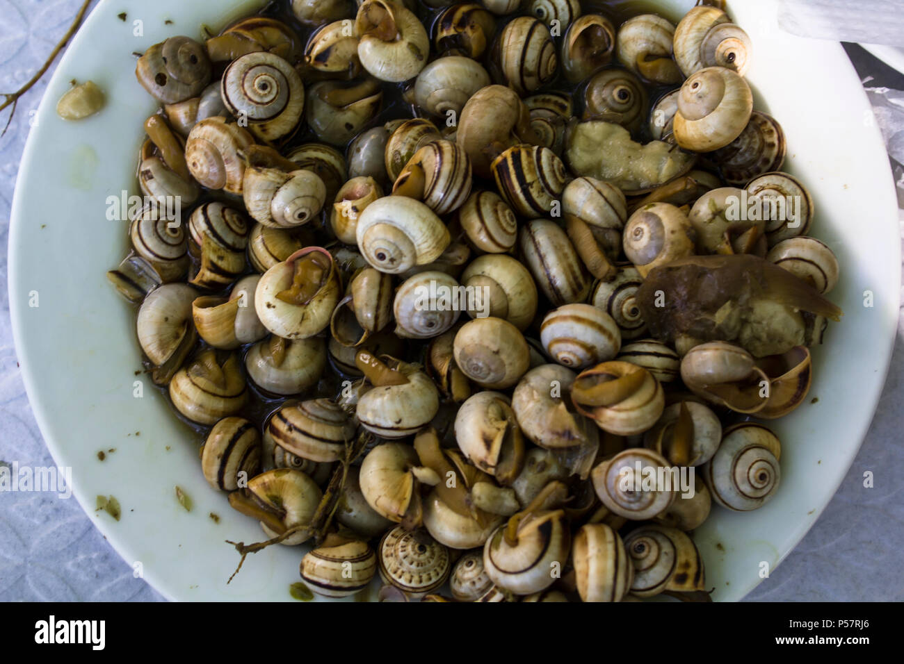 Plate of Cooked snails or escargot, top view Stock Photo - Alamy