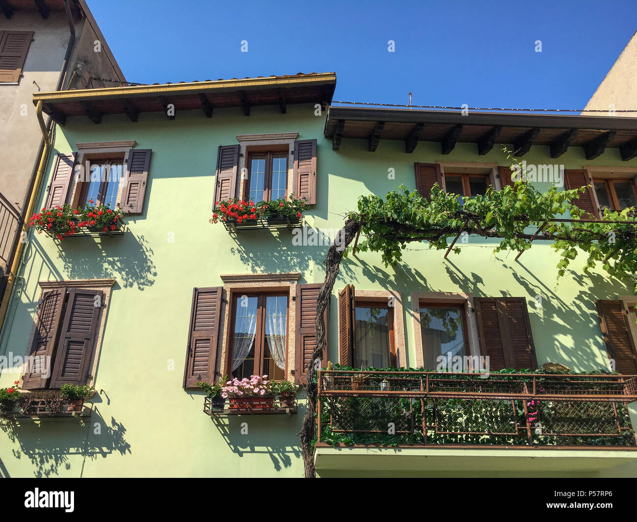 Green facade of an idyllic house with brown windows, flowers and an ...