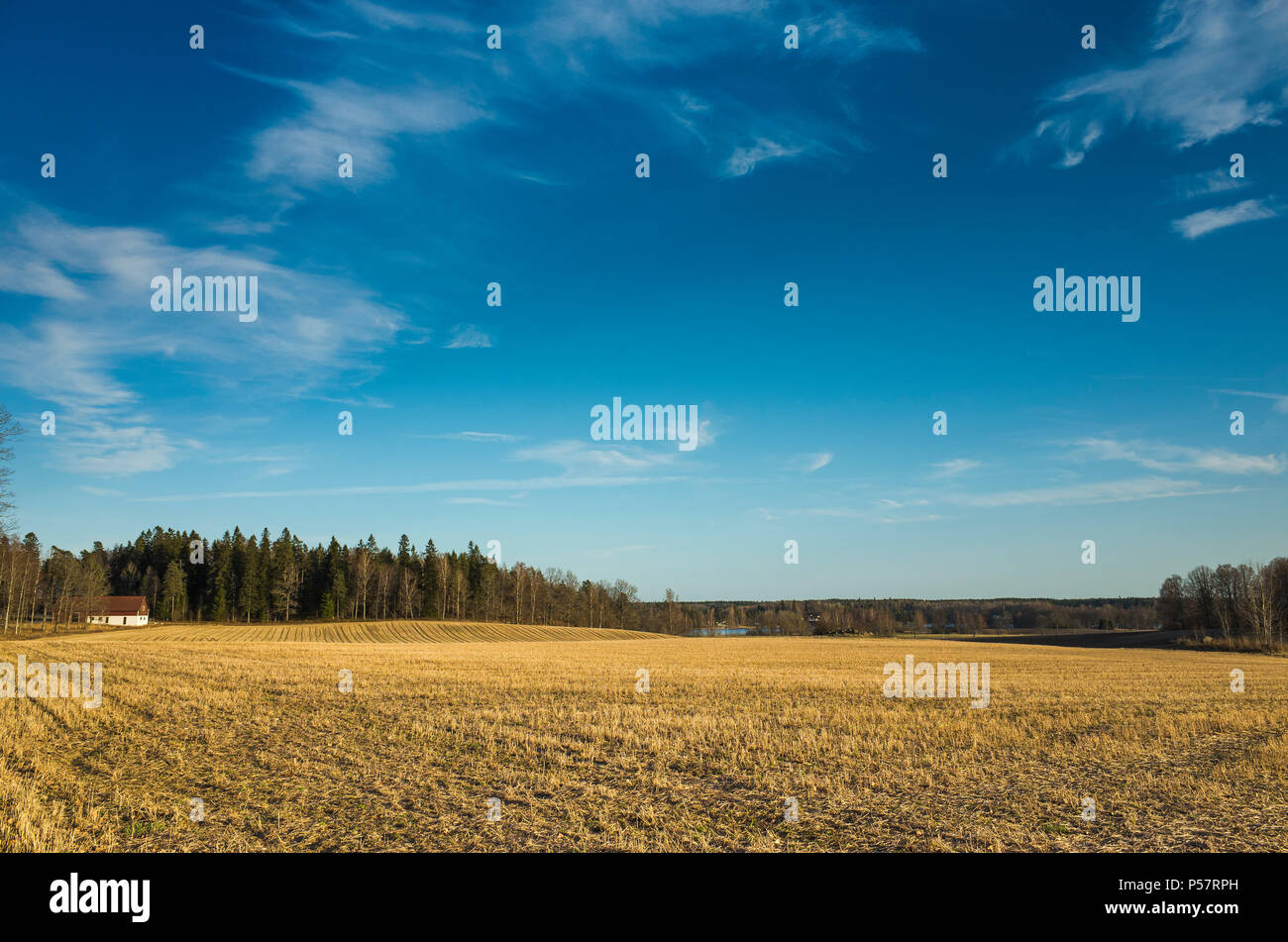 Beautiful nature and landscape photo of Sweden Scandinavia. Nice ...