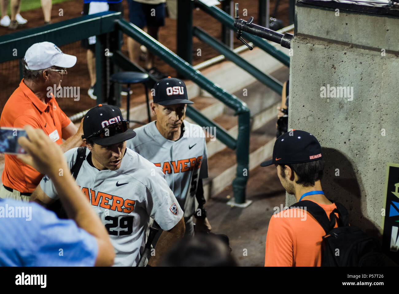 College world series celebration hi-res stock photography and images ...
