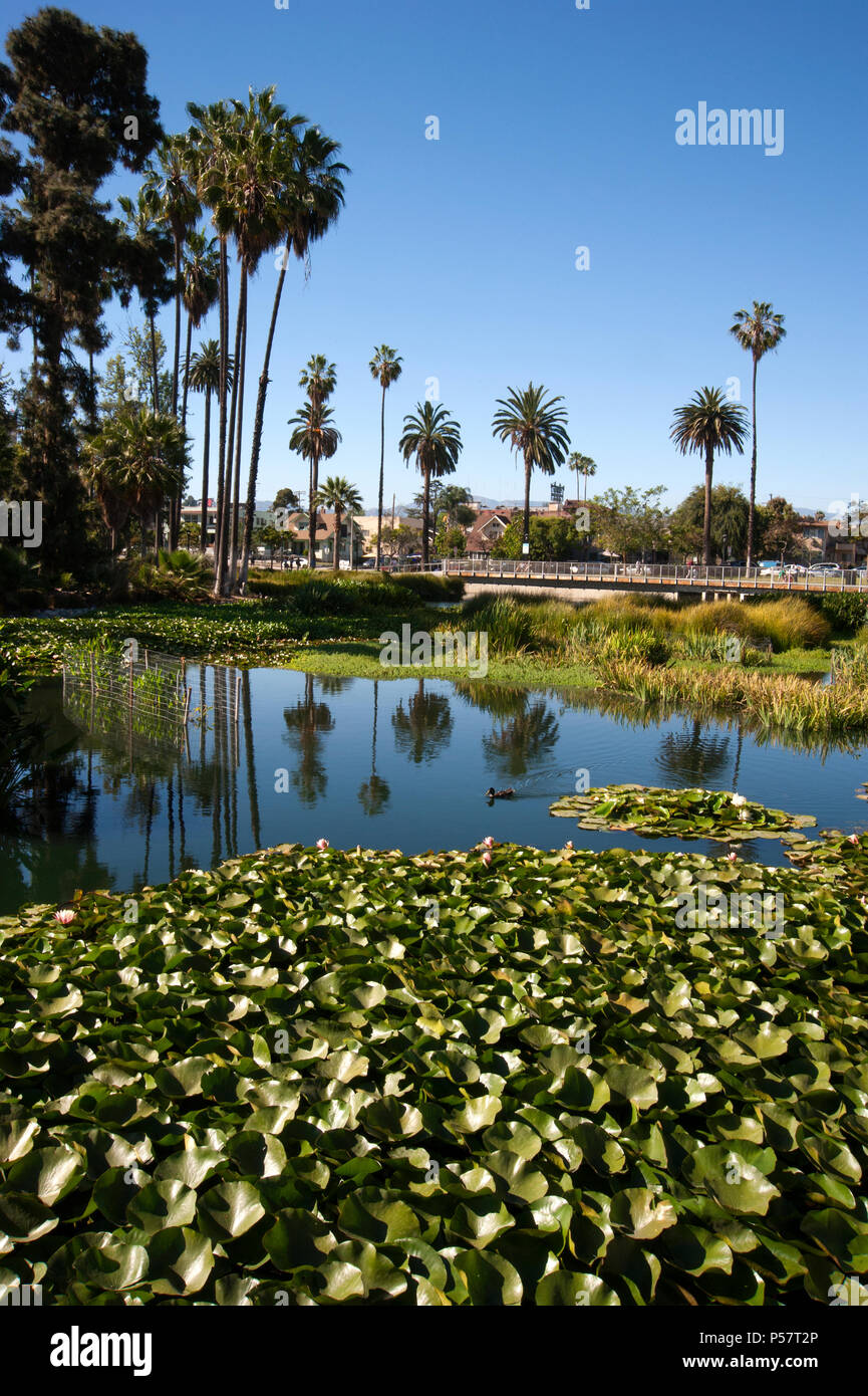 Echo Park in Los Angeles, CA Stock Photo - Alamy