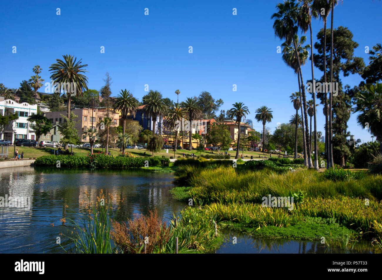 Echo Park in Los Angeles, CA Stock Photo - Alamy