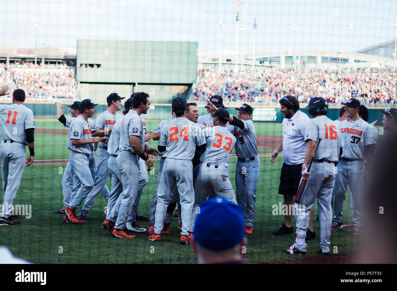 College world series stadium hi-res stock photography and images - Alamy