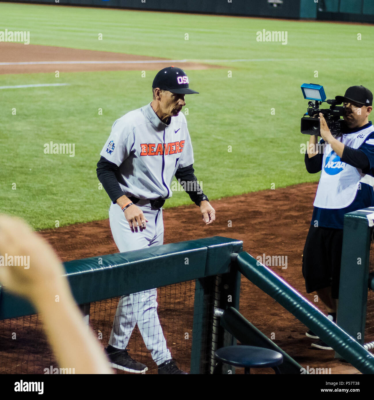 College world series celebration hi-res stock photography and images ...